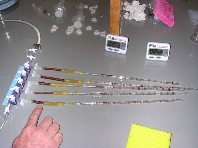 Plant Physiological Ecology Lab | Department of Botany & Plant Sciences