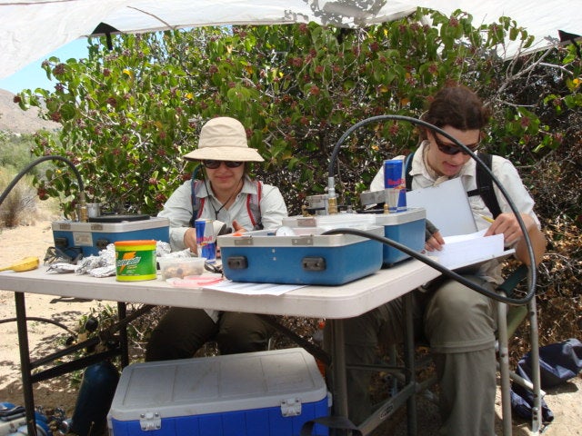 Plant Physiological Ecology Lab | Department of Botany & Plant Sciences